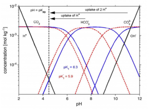 Carbonate system - Meddle